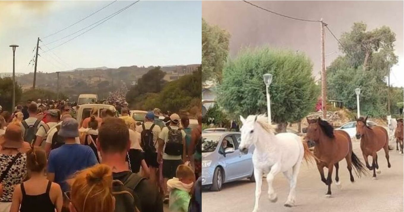 Συμβαίνει τώρα: Εικόνες αποκάλυψης στη Φωτιά στη Ρόδο - Διακομιδές από το EKAB, ζώα τρέχουν να ...